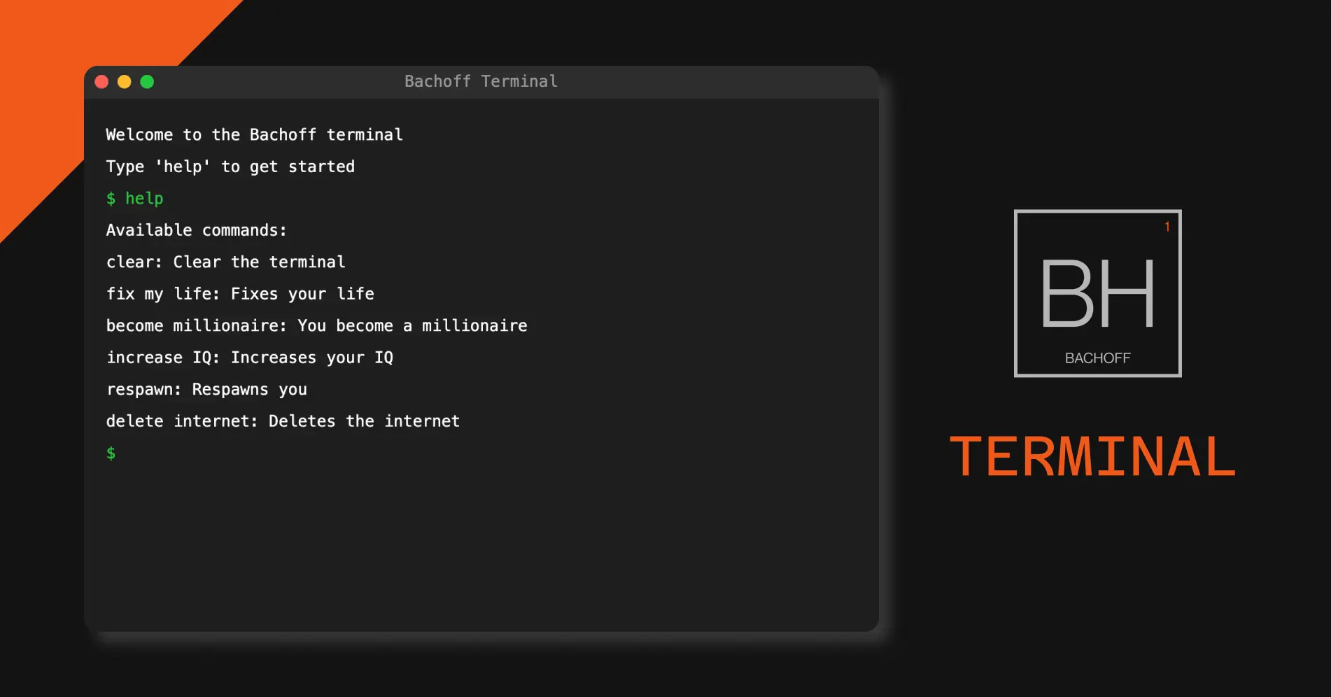Terminal • Framer Component • Bachoff Studio • Web Design and ...